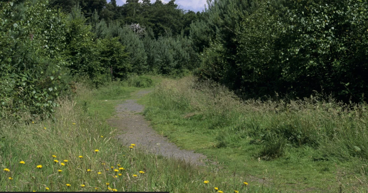 Limpsfield Chart - Ramblers